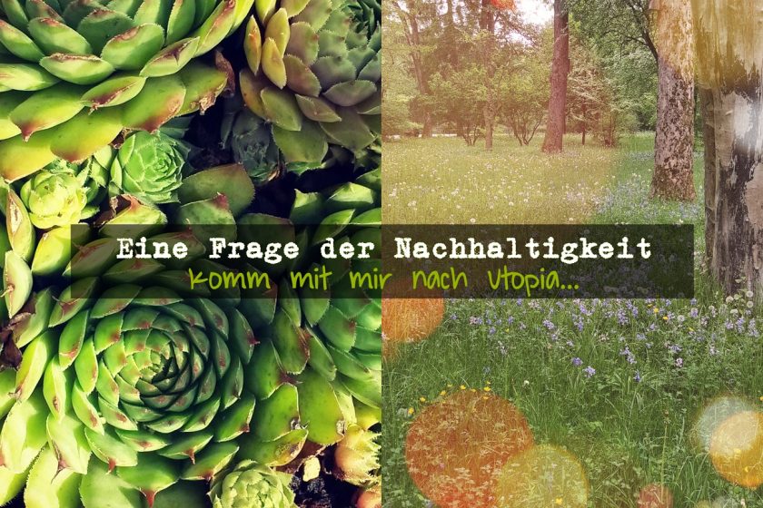 LeseStoff: Natürlich gärtnern mit Terra Preta von Caroline Pfützner ...